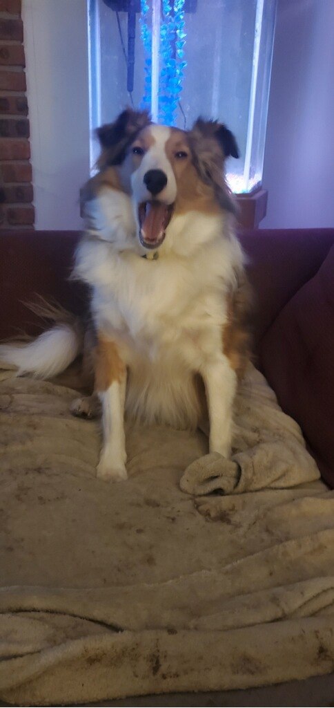 JANE Reeves Wins at Nashville's | Free Poker Network(FPN)