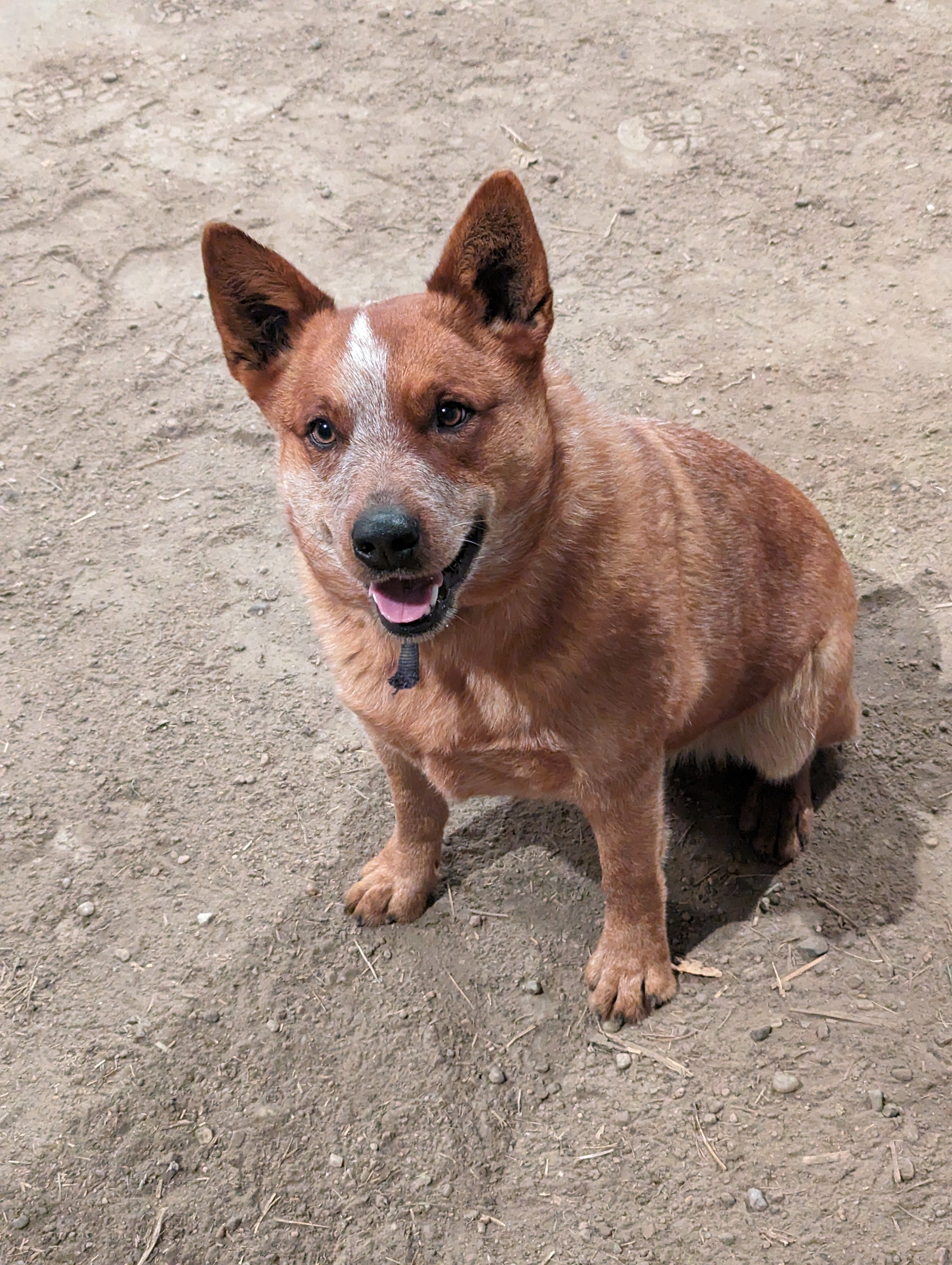 Jeffrey Bloomquist Wins at Pinky's Lounge | Free Poker Network(FPN)