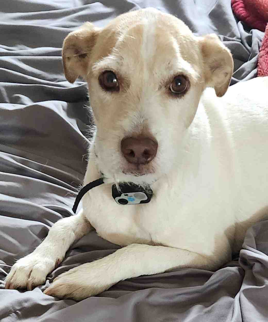 Congratulations to Ashley Warren for winning the Sat Aug 17 2024 at ...