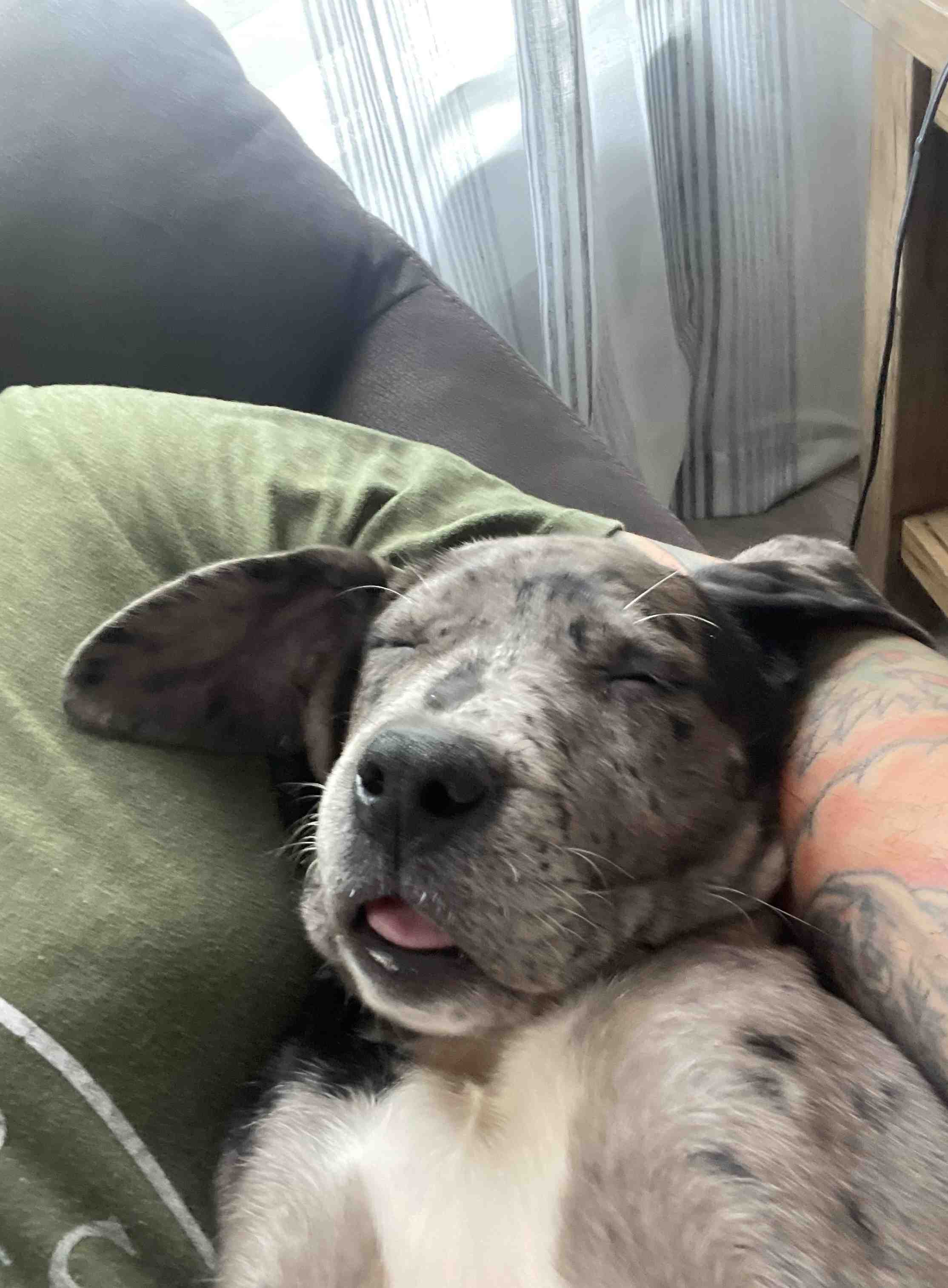 Jesse Carrion Wins at Mr G's Bar & Grill | Free Poker Network(FPN)