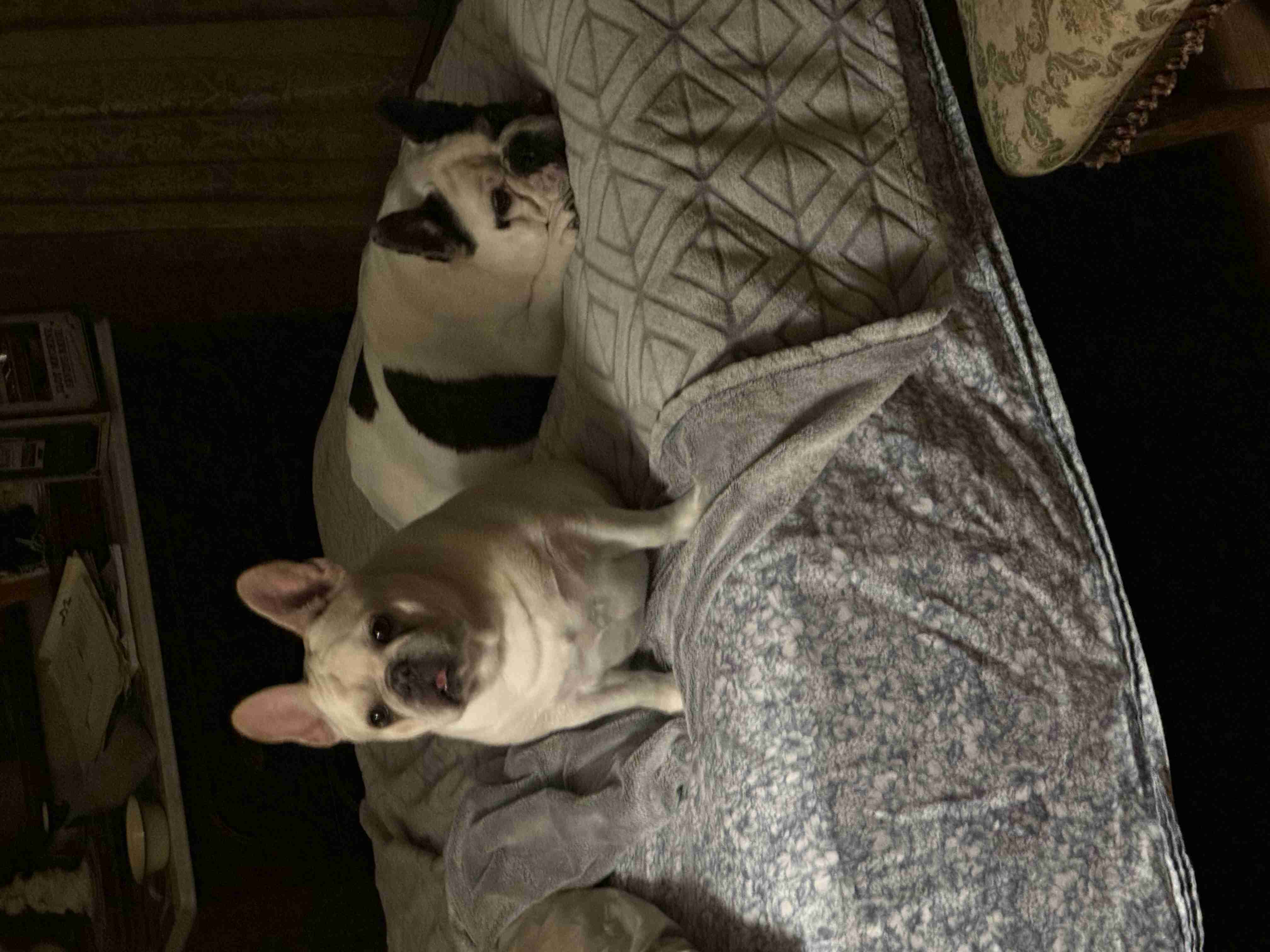 Harold Biddle Wins at Redland Icehouse | Free Poker Network(FPN)