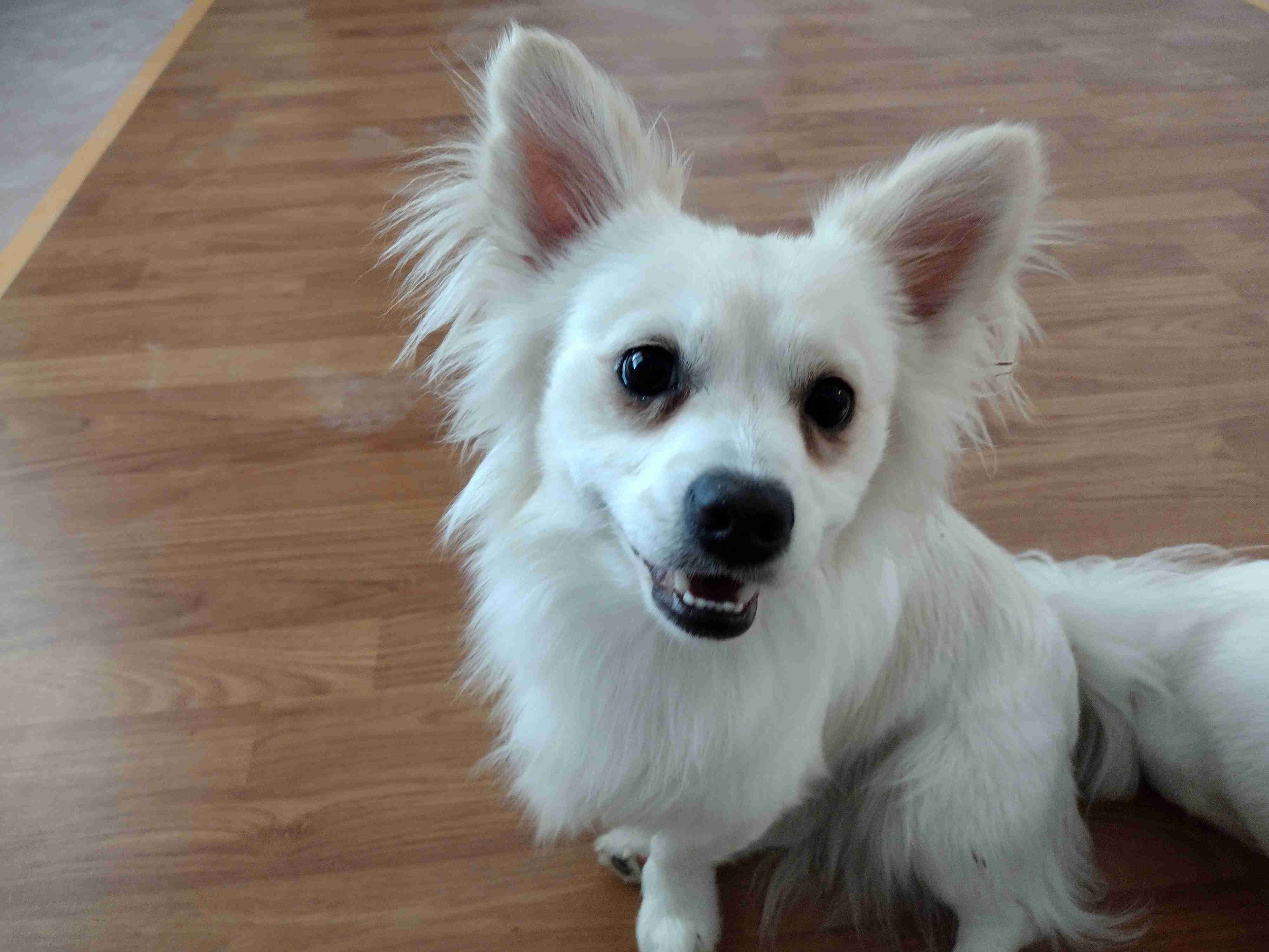 Michael Dougherty Wins at Pallet Bar And Grill | Free Poker Network(FPN)