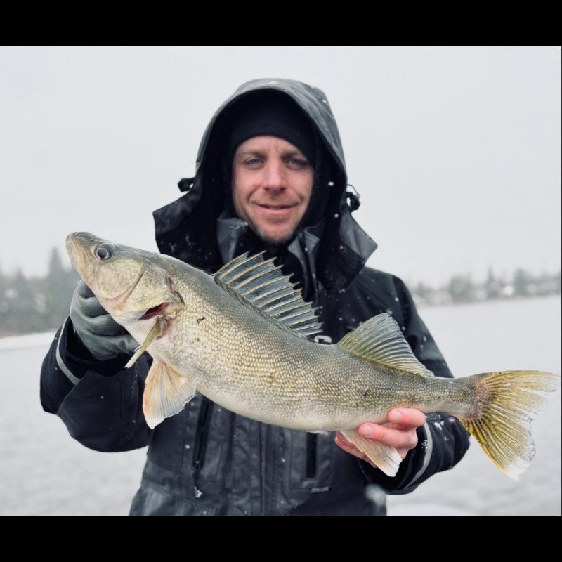 Tom Brower Profile | Free Poker Network(FPN)